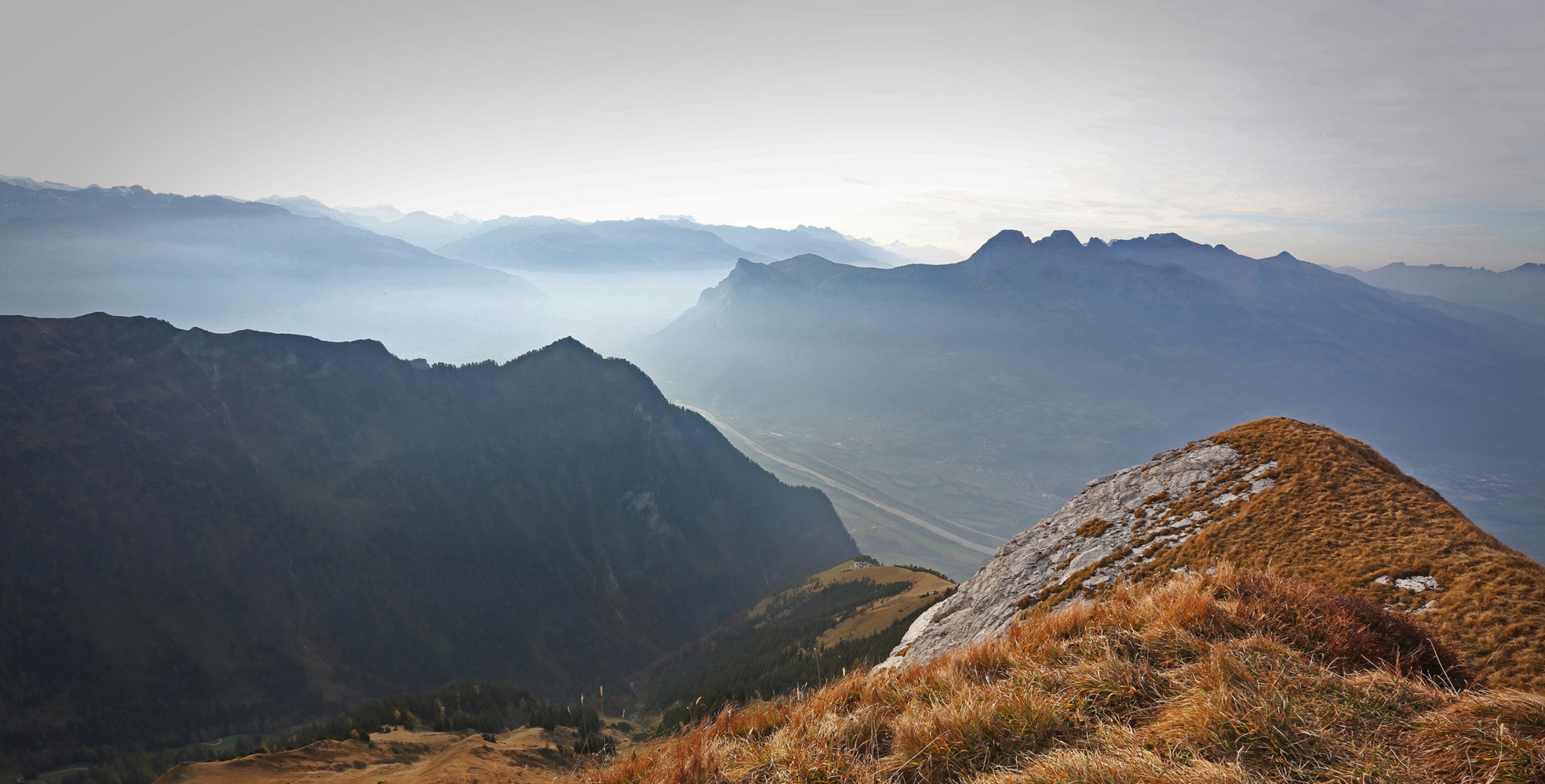 Team :: Walpart Trust Reg.